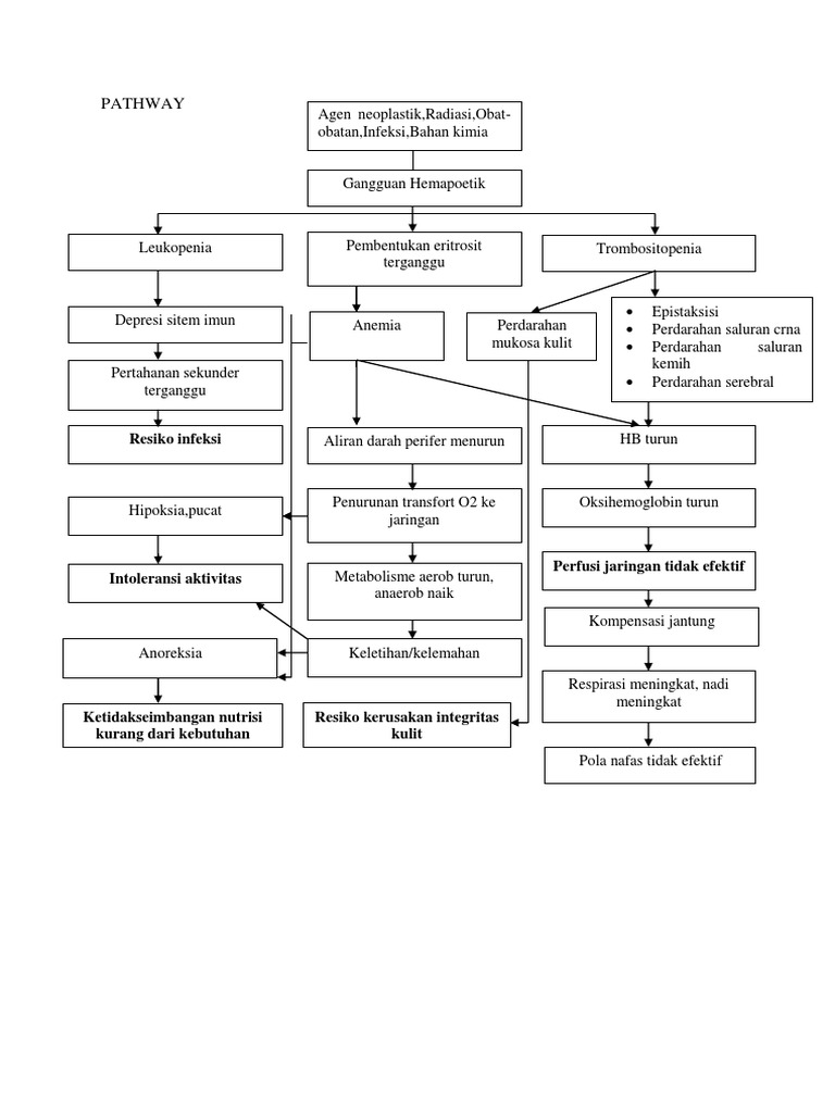 Anemia Aplastik Pathway | PDF