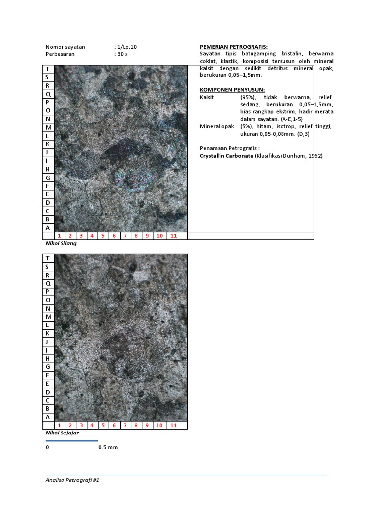 Sayatan Tipis Batuan Sedimen | PDF
