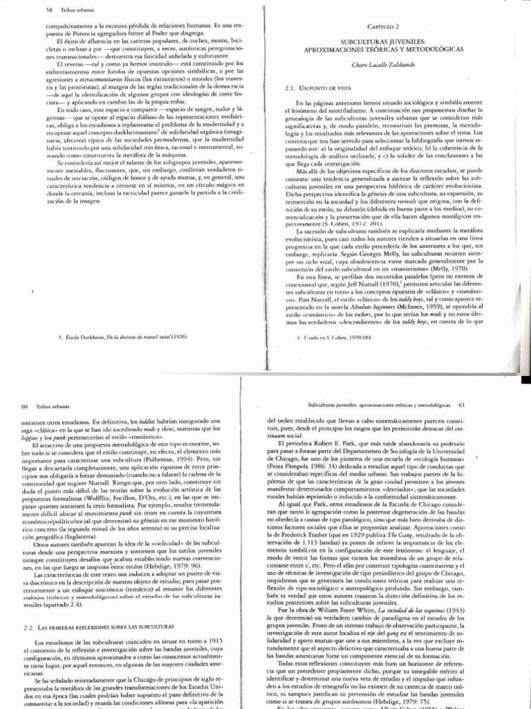 Subculturas Urbanas y Neotribalismo | PDF | Hippie | Punk rock