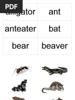 Shadow Animails | PDF