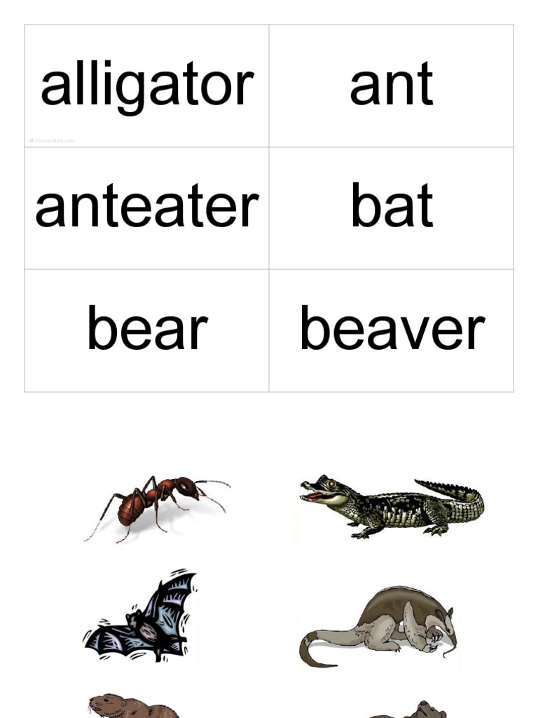 100 Animal Names with Pictures PDF | PDF
