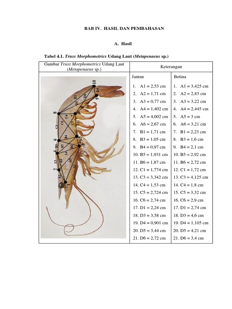 Morfometri Udang dan Ikan: Analisis Data | PDF