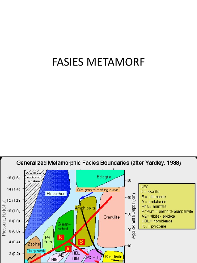 Fasies Metamorf | PDF | Rocks | Classification Of Minerals