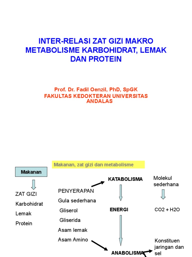 Interrealasi Zat Gizi Makro Metabolisme Karbohidrat, Lemak Dan Protein ...