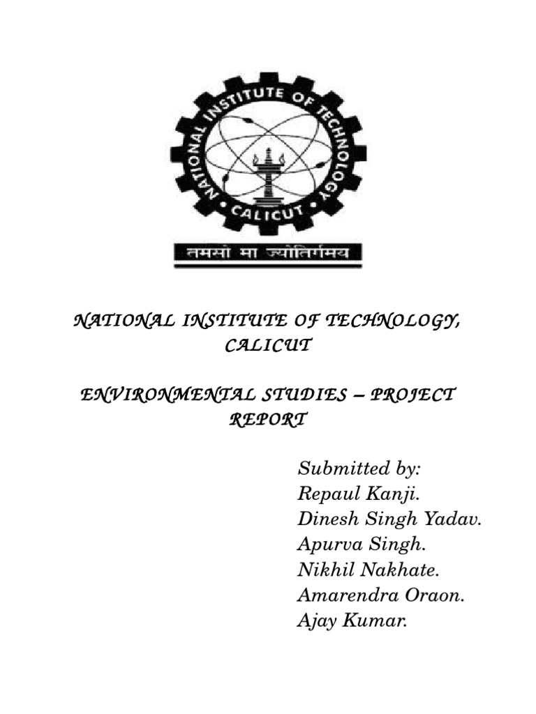 Evs Report | PDF | Smog | Air Pollution
