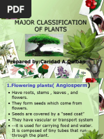 Grade 6 - Classification of Plants | PDF