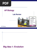 Ap Biology Review One Pagers | PDF