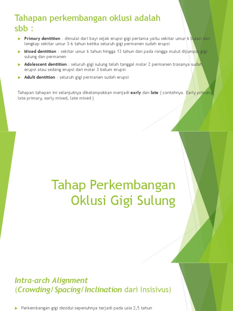 Tahapan Perkembangan Oklusi Gigi Sulung Dan Permanen | PDF