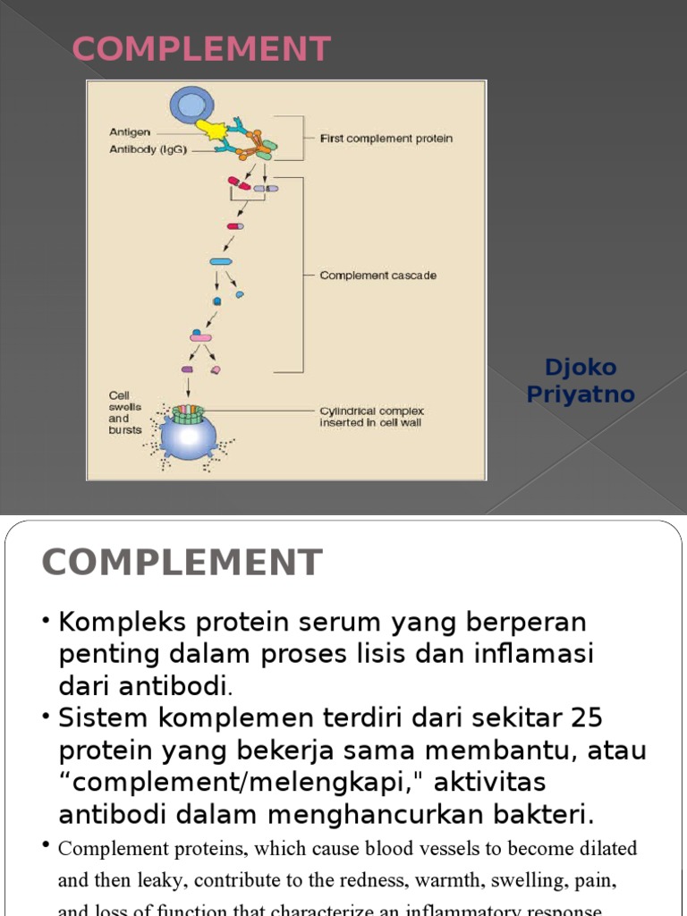 10 Complement Theory | PDF