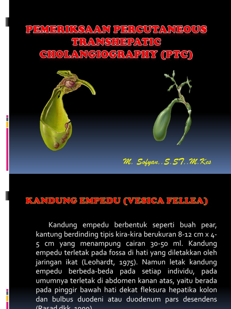 Pemeriksaan Percutaneous Transhepatic Cholangiography (PTC) | PDF