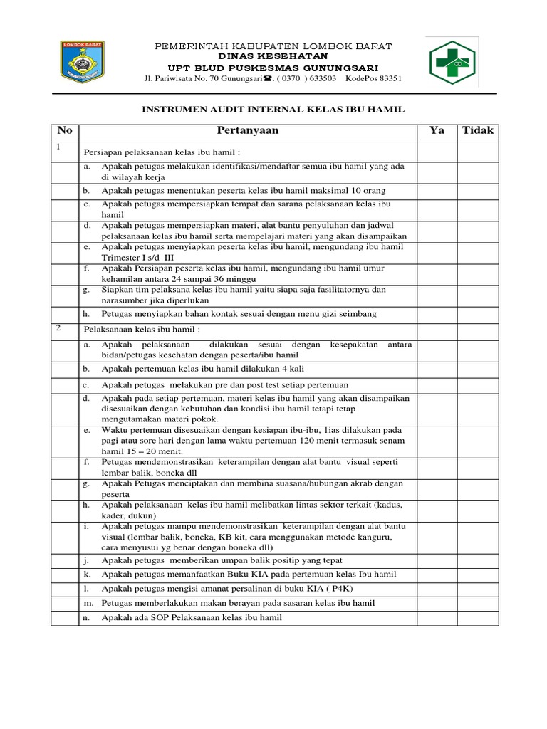 Instrumen Audit Internal Kelas Ibu Hamil 1 | PDF