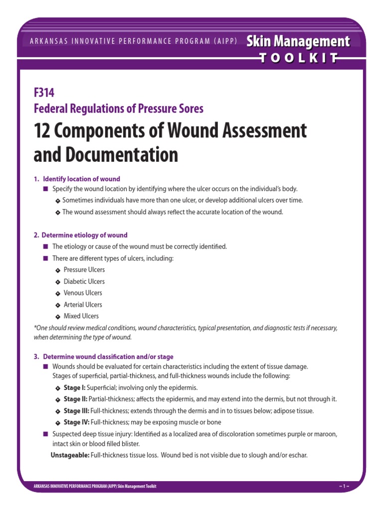 Comprehensive Guidelines for Wound Assessment and Documentation ...