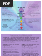 Build Guide Rank Planner doTERRA | PDF | Multi Level Marketing | Mentorship