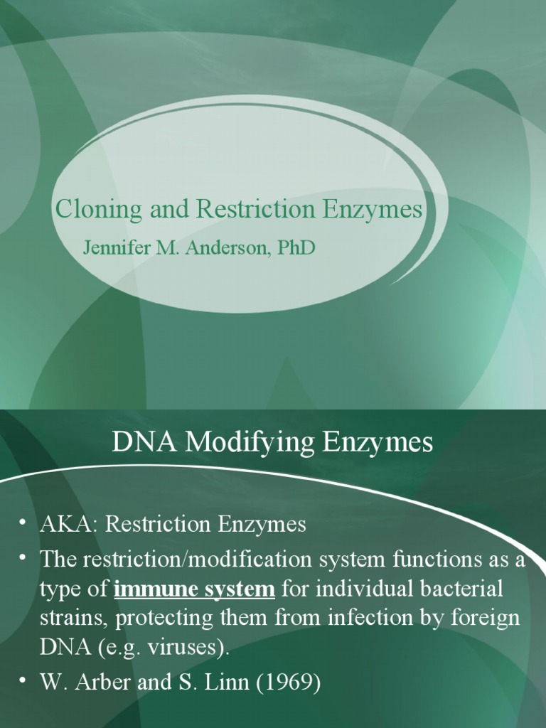 Cloning and Restriction Enzymes Overview | PDF | Molecular Cloning ...
