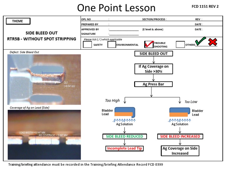 One Point Lesson | PDF | Nature