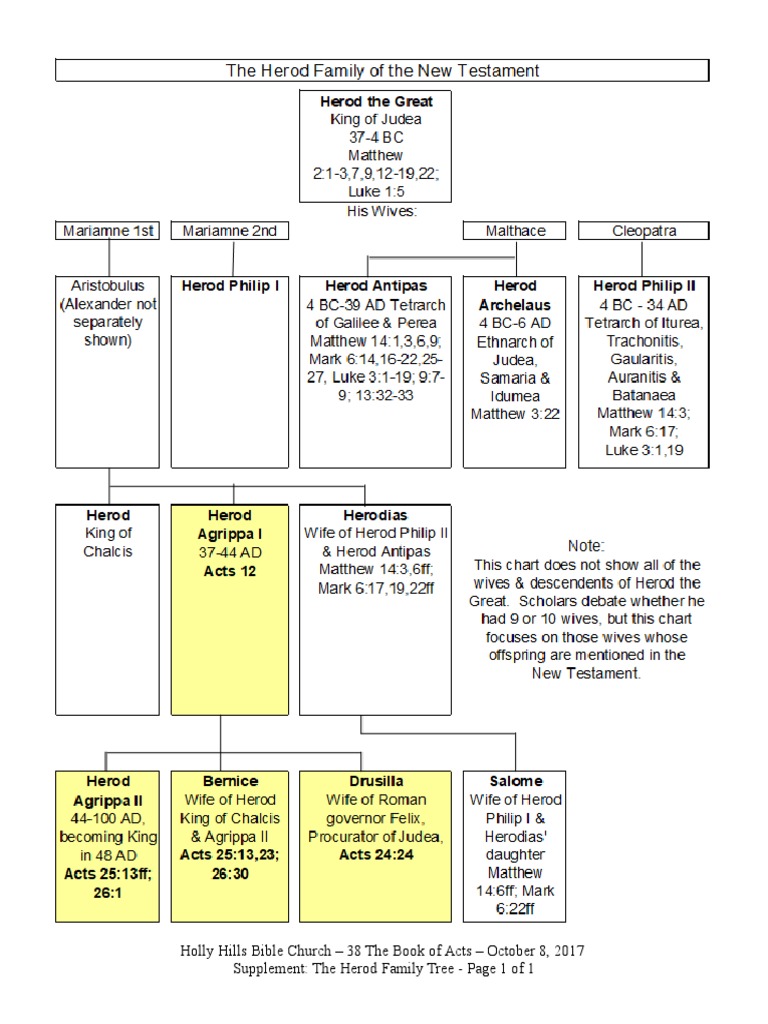 38 Supplement Herod Family Tree | PDF
