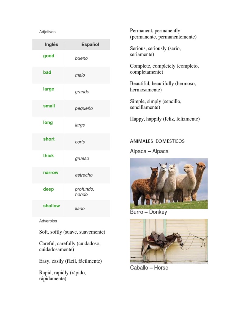 Adjetivos | PDF | Ganado | Animales domesticados