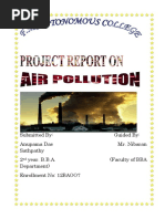 Air Pollution: Project Report | PDF | Air Pollution | Particulates