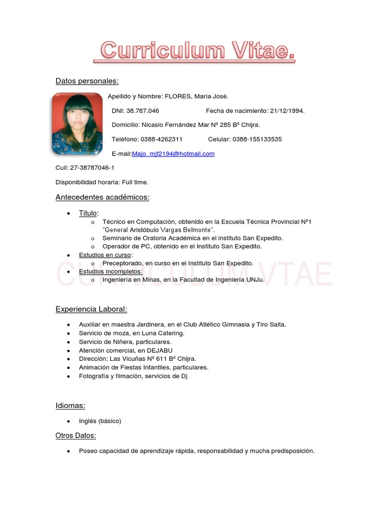 Curriculum Majo | PDF