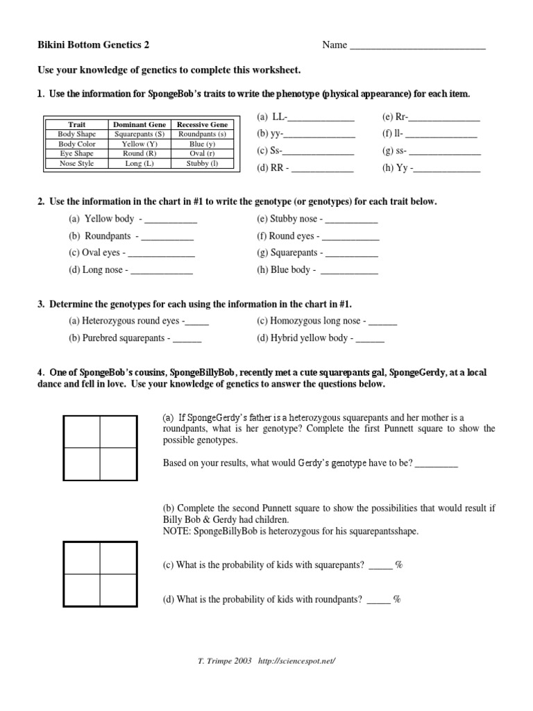 Spongebob-Genetics 2 | PDF | Genotype | Genetics
