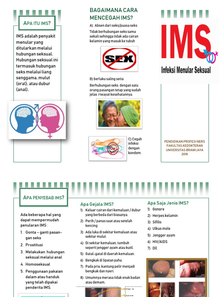 Leaflet IMS 1 | PDF