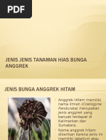 Anggrek Mekar Pontianak | PDF