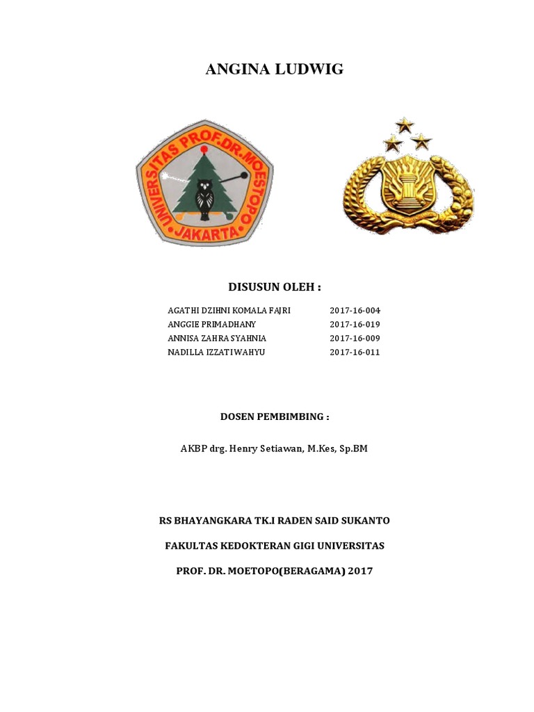 Cover + Dapus Angina Ludwig | PDF