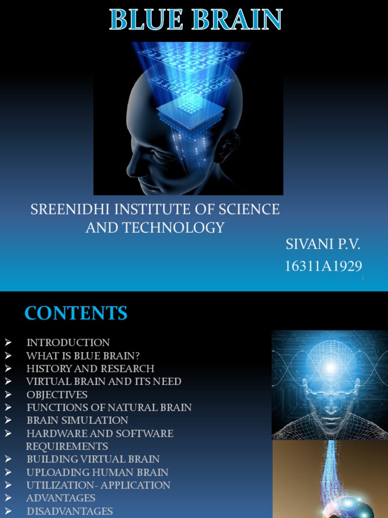 Blue Brain | PDF | Brain | Areas Of Computer Science