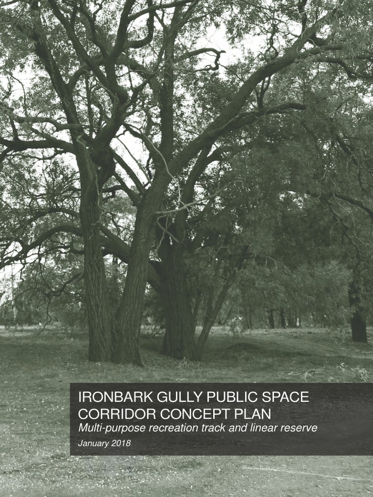 Ironbark Gully Public Space Corridor Concept Plan - January 2018 | PDF ...