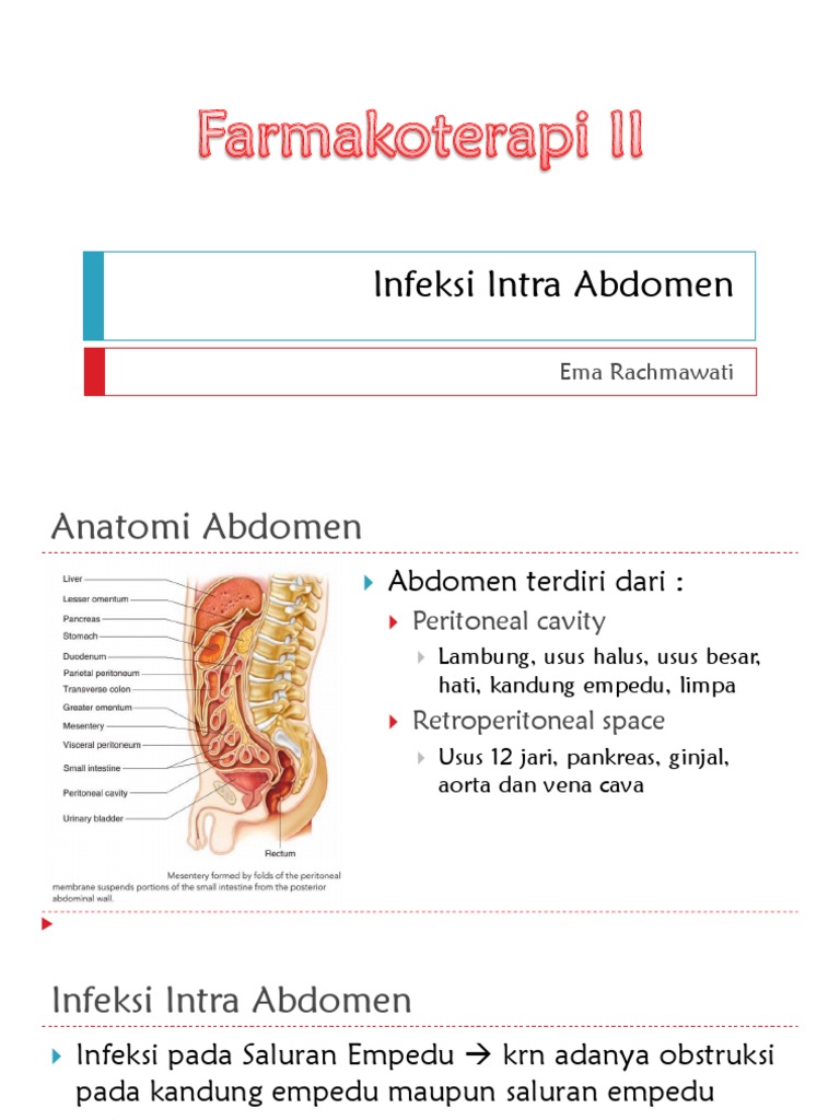 Infeksi Intra Abdomen | PDF