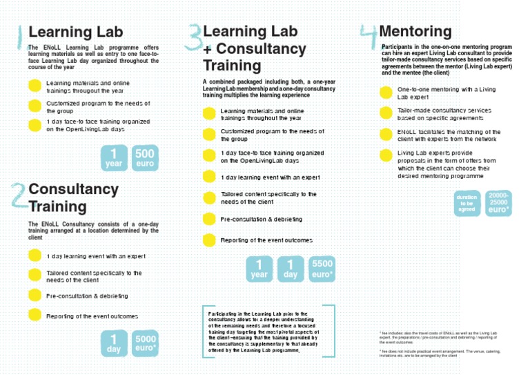 Learning Lab Leaflet | PDF | Mentorship | Consultant