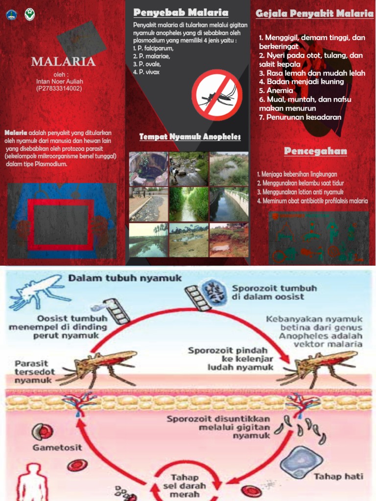 Leaflet Malaria | PDF