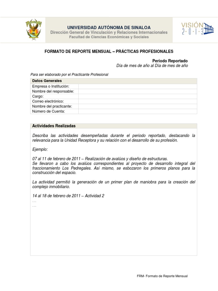 Formato de Reporte Mensual de Actividades