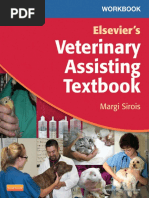 Surgical Site Marking Protocols and Policy | PDF | Patient Safety | Surgery