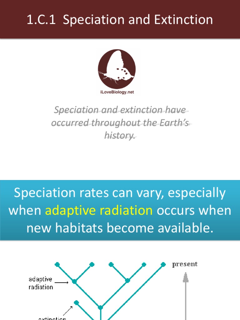Speciation and Extinction Have Occurred Throughout The Earth's History ...