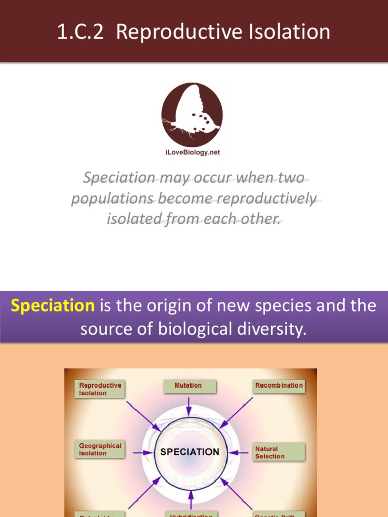 1.C.2 Reproductive Isolation: Speciation May Occur When Two Populations ...