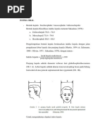 Tipe dan Indeks Bentuk Kepala Manusia | PDF