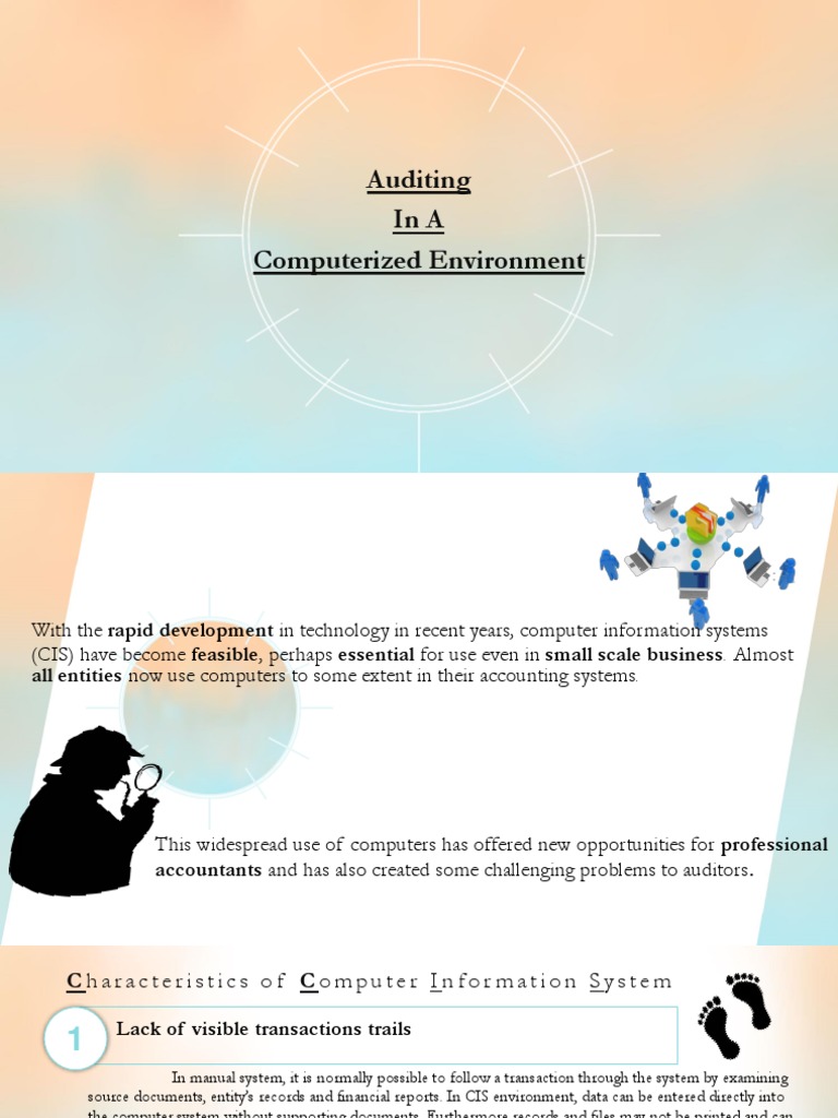 Auditing Ina Computerized Environment | PDF | Internal Control | Audit