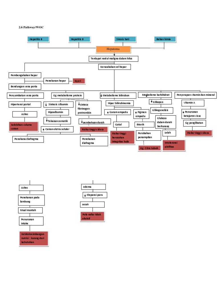 Woc Hepatoma | PDF