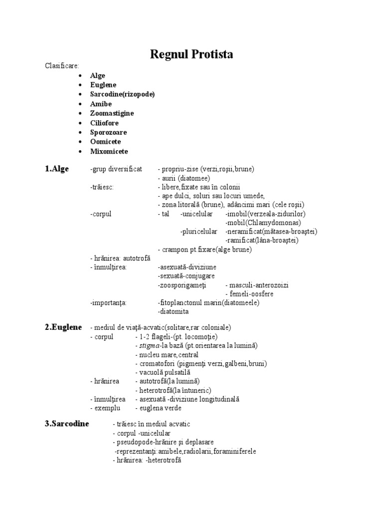 Regnul Protista | PDF