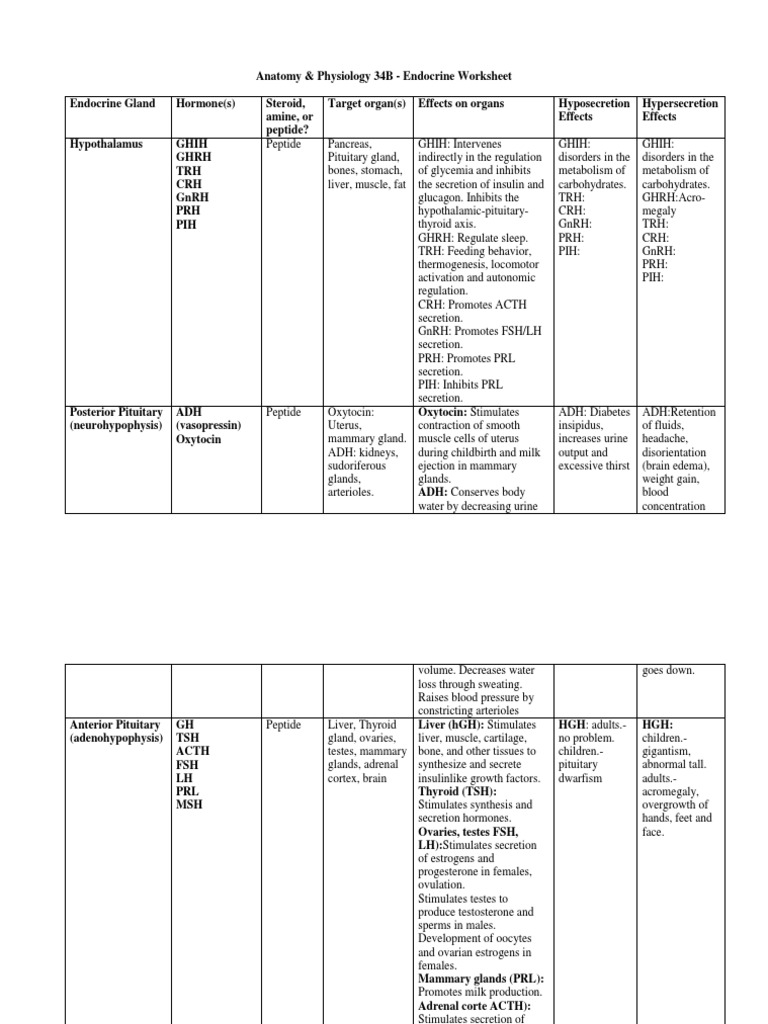 Endocrine Worksheet | PDF | Cortisol | Endocrine System