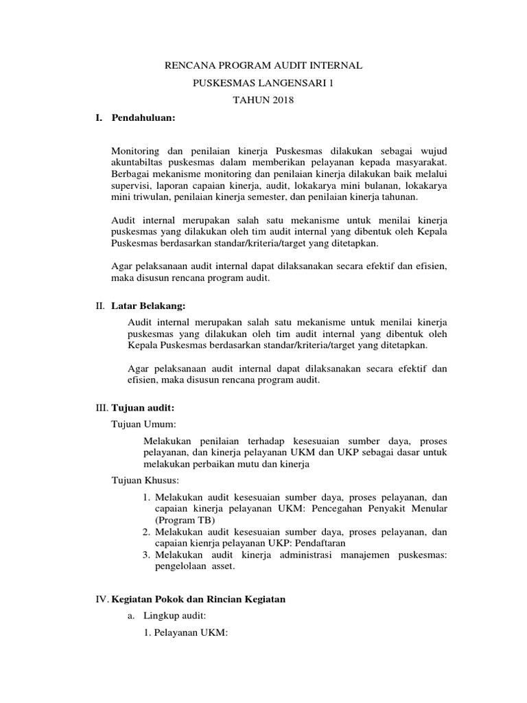 Contoh Rencana Program Audit Internal Puskesmas Tahunan | PDF