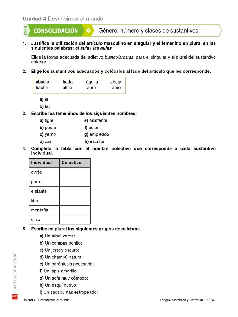 Ejercicios de Sustantivos 1º ESO | PDF | Sustantivo | Género gramatical