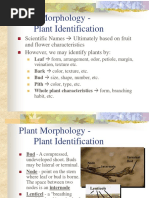 Leaf and Leaflet Morphology Guide | PDF | Leaf | Branches Of Botany