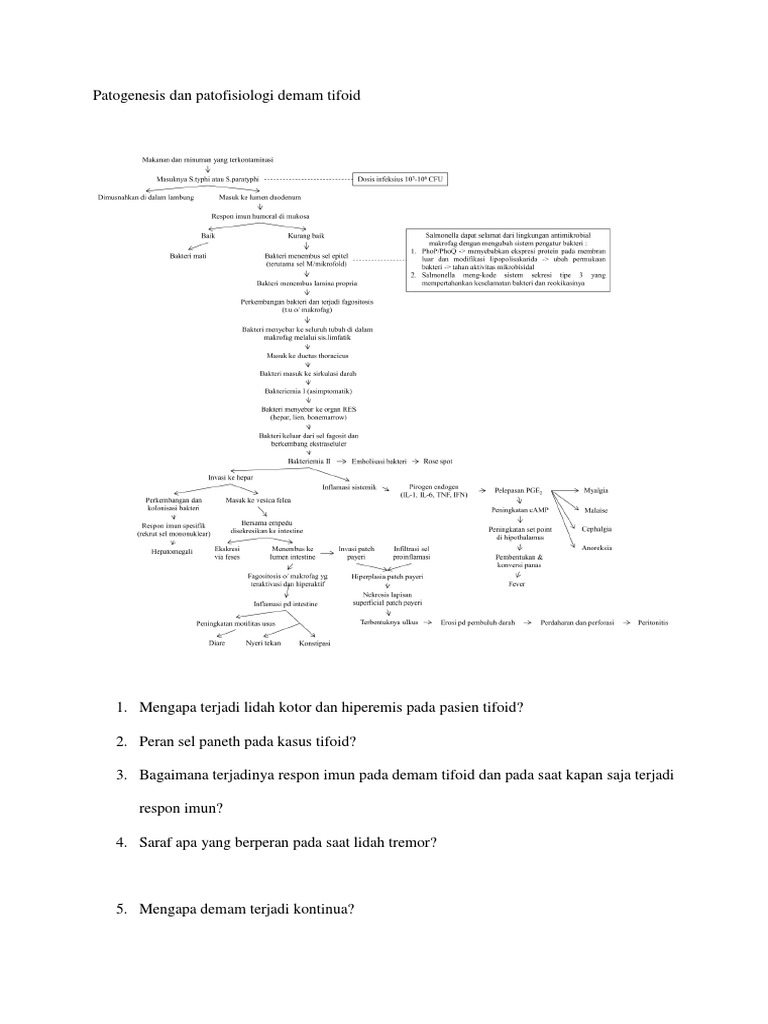 Patogenesis Dan Patofisiologi Demam Tifoid | PDF
