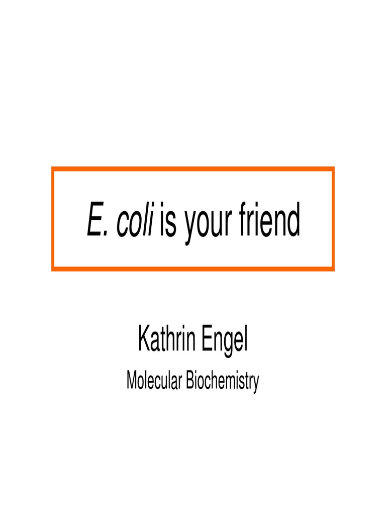 E. Coli Is Your Friend: Kathrin Engel | PDF | Plasmid | Molecular Cloning