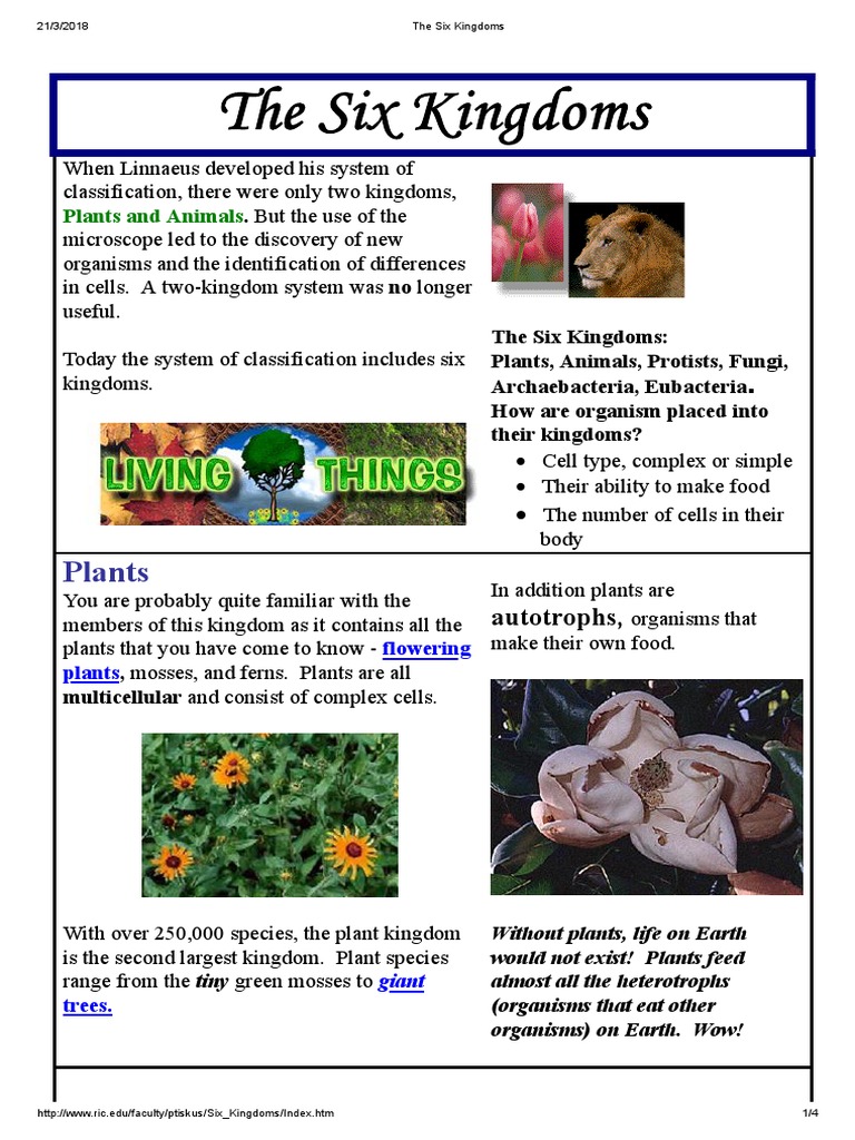 The Six Kingdoms | PDF | Plants | Organisms