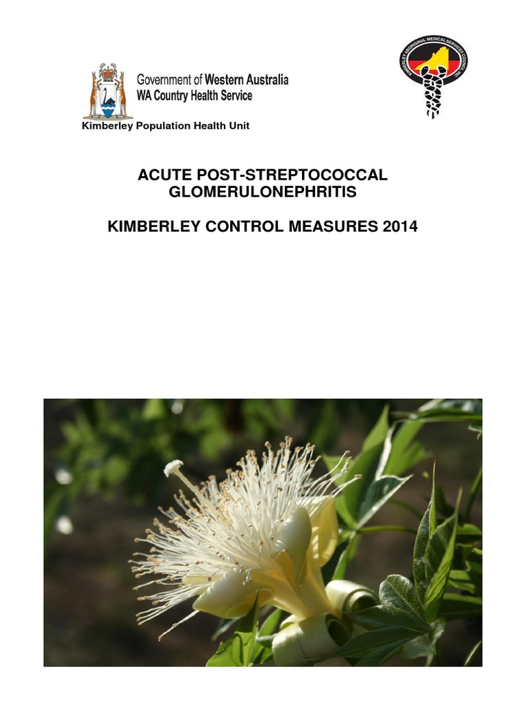 Acute Post Streptococcal Glomerulonephritis APSGN | PDF | Screening ...