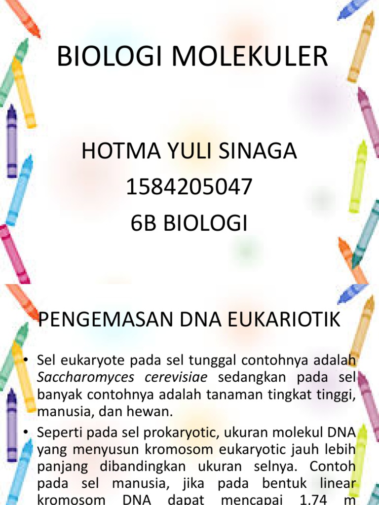 Pengemasan DNA pada Eukariota dan Prokariota | PDF
