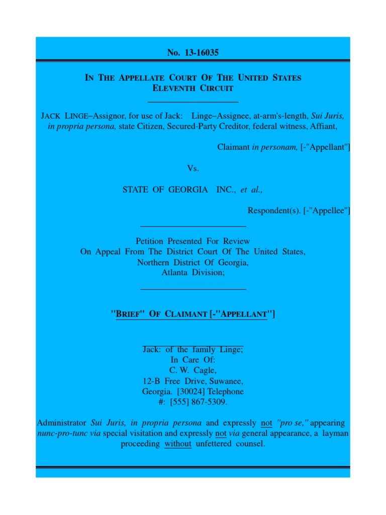 Affidavit of Appellant S Petition For Declaratory Judgment | PDF ...